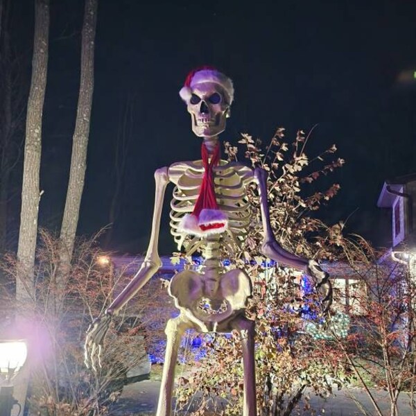 12 Skeleton Santa Beard white skeleton NOT Included - Etsy