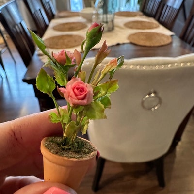 Miniature Water Lily Flower Bunch of Flowers,miniature Blue Color Lotus ...