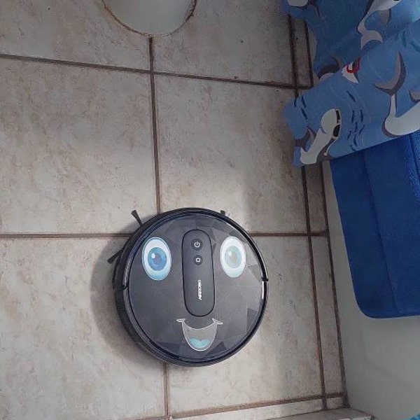 Happy Face Funny Sticker for Robot Vacuum Cleaner Deboot, Roomba ...