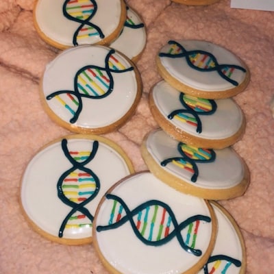 DNA Double Helix Science Cookies 1 Dozen - Etsy