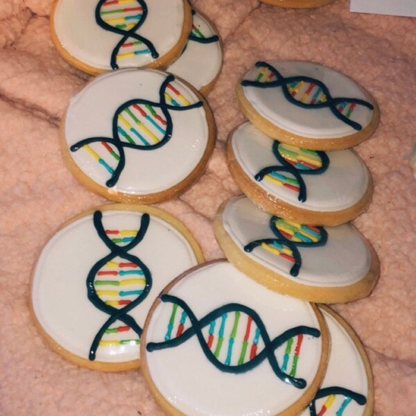 DNA Double Helix Science Cookies - 1 Dozen - Etsy