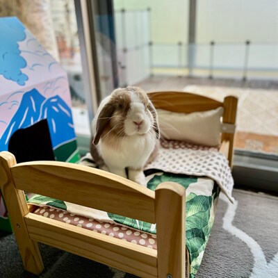 Digital Download Plans for Luxury Bunny Cubby Free Roam Rabbit Cat Home ...