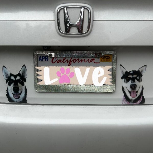 Custom Pet Sticker, Die-cut Dog Decals for Car, Cat Laptop Stickers ...