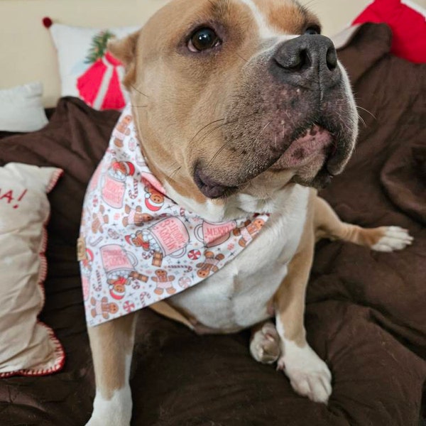 Pink Moon & Stars Dog Bandana Boho Dog Bandana Personalized, Celestial ...