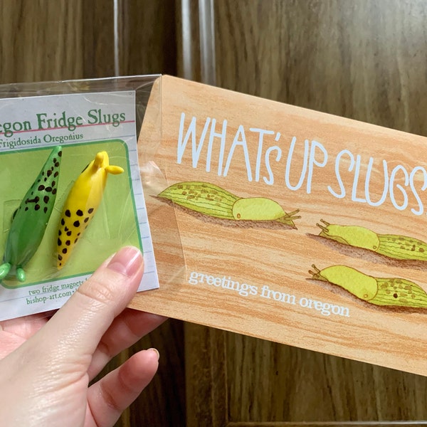 Happy Ohio Buckeye Magnets - Etsy