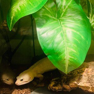 Plastic Moss Pads: Artificial Aquarium Plants Reptile Terrarium Plants ...