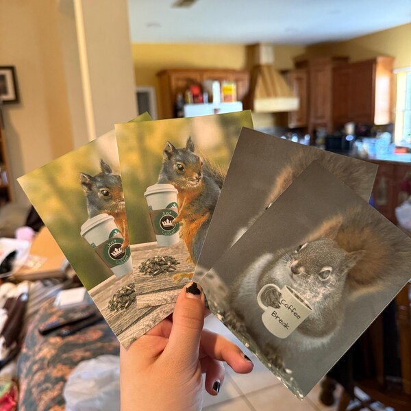 Inappropriate and Funny Postcard Set (FUNNIES) | 4 Postcards | 130 ...