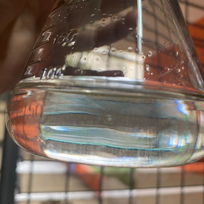 Bio-orb Glass Sphere Only 10cm and 15cm Sizes - Etsy