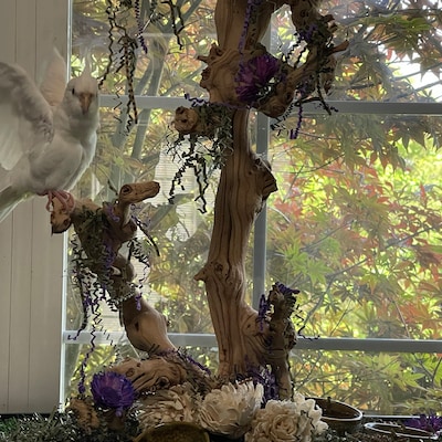 Botanical Bliss Seagrass Foraging Tray Rose Blossom Foraging Tray for ...