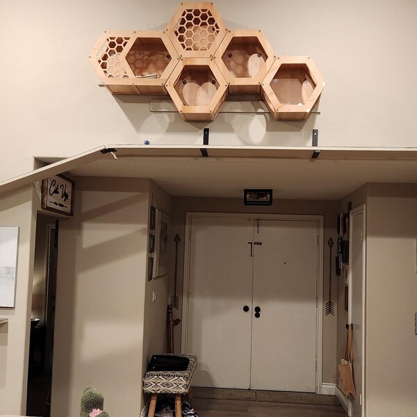 Wall Mounted Cat Scratching Post, Modern Cat Wall Furniture, Cat ...