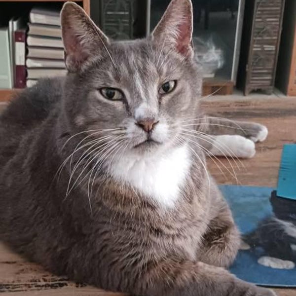 Vintage 2001 Racing Collectibles Rusty Wallace No 2 Miller Lite/ Snap ...