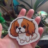 Enamel Pin - Meowster Piece Pin Set - Etsy