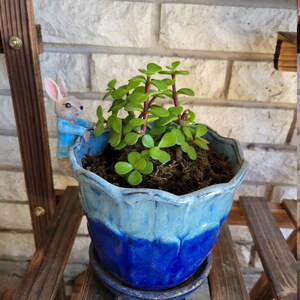 Peter Rabbit Pot Buddy Pot Hanger Beatrix Potter Gift | Etsy