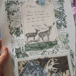 Practical Magic Inspired Illustrated Journal Page Giclee Art - Etsy