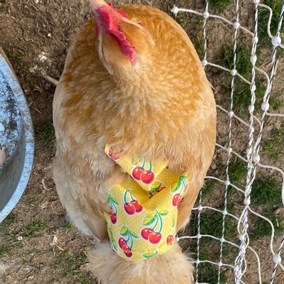 Chicken Diaper/ Hen Diaper/ Standard Chickens/ Random Patterns. - Etsy