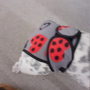 Dog Hygiene Knickers / Dog Season Pants Handmade by Me MADE TO ORDER by ...