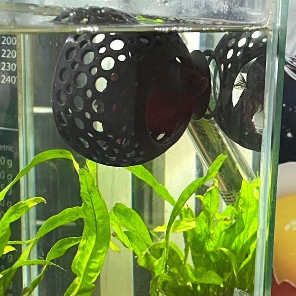 Betta Fish Cave Lounge Hammock, Aquarium Decor to Swim-through, Hide ...