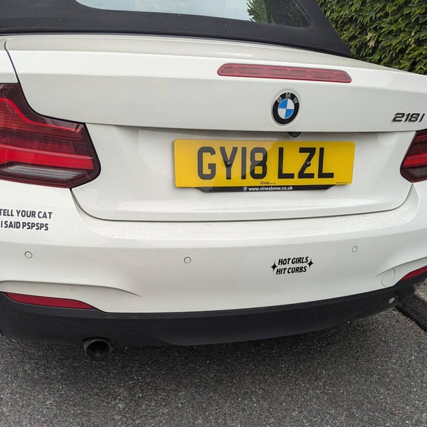 Chunky is the New Hunky Vinyl Car Window, Bodywork, Bumper Sticker ...