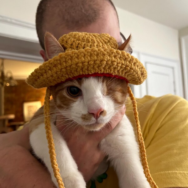 One Piece Anime Handmade Crochet Hat Tony Chopper Blue & Pink Hat ...