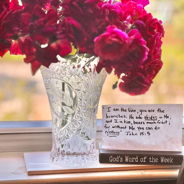 Bible Verse Cards & Holder | 52 Scriptures on 26 Double-sided 5x3.5 ...