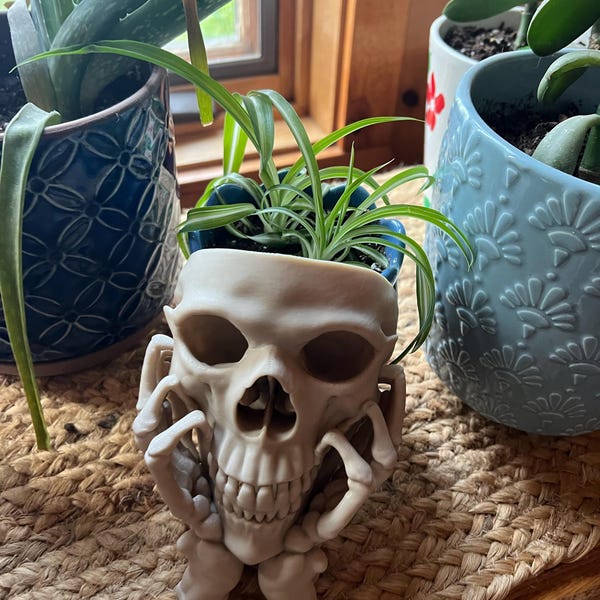 Happy Skull Horror Planter - Unique Plant Pot, Witchy/goth Decor ...