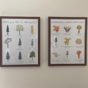 Pacific Northwest Trees Art Print / Washington State Art / Trees Art ...