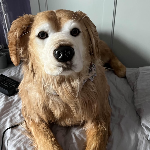 Custom Life Like Dog Plushie Clone - Etsy