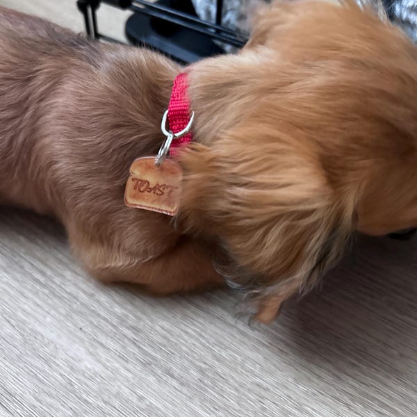 Artist Sign, Self Adhesive, Acrylic Plaque, Personalized Gallery Wall ...