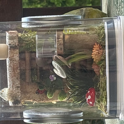 Jumping Spider Enclosure 5x5x9 Spider House, Spider Tank, Spider ...