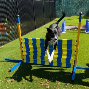 Dog Agility Panel Jump - Etsy
