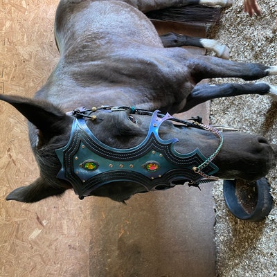 Elven Scout Chamfron - Etsy