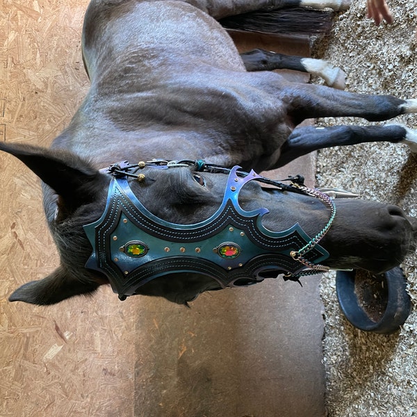 Maiars Progeny Bridle, Chamfron Horse Barding Tack - Etsy