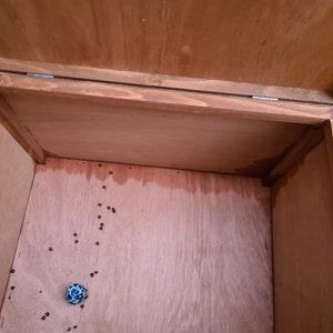 Feral Stray Outdoors Cat House Kennel Shelter Cat Den - Etsy UK