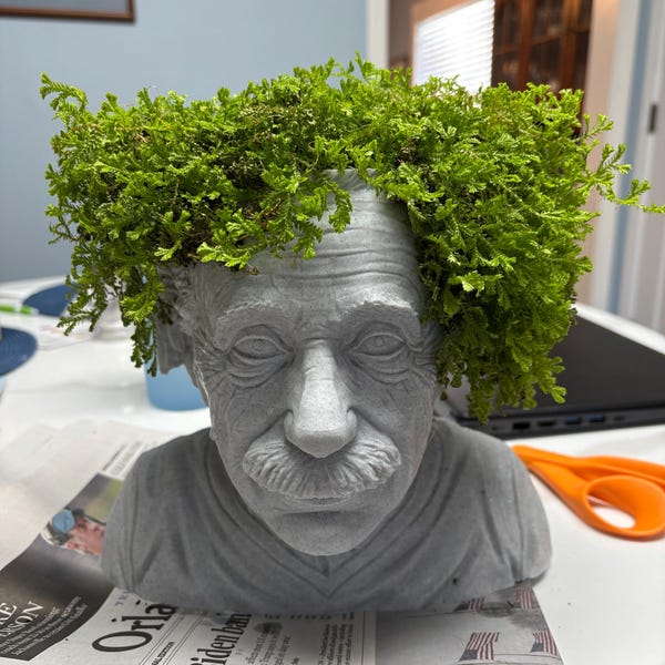 Handsome Squidward Planter - Etsy