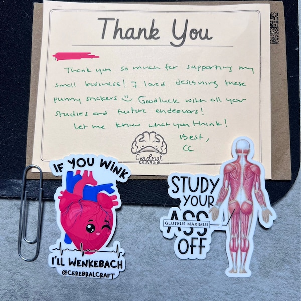 Cute Heart Anatomy Sticker, Funny Anatomical Heart Sticker, Cardiology ...