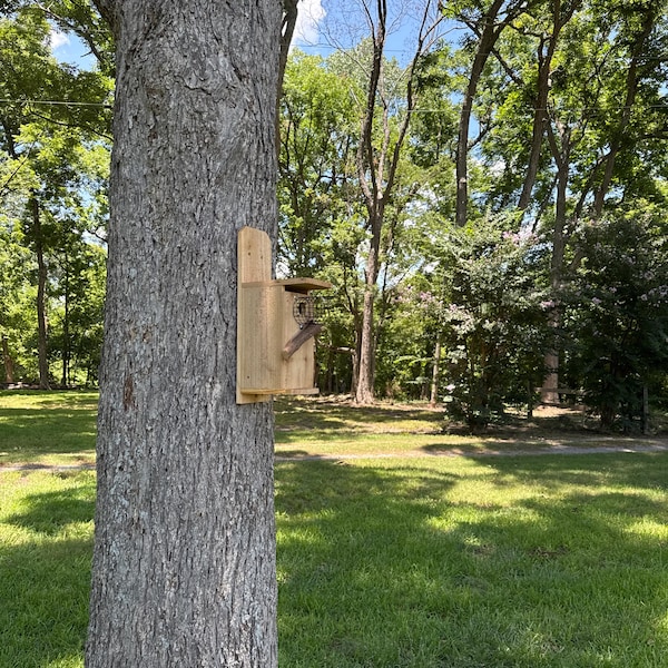 Insulated Roost Box for Songbirds | Cedar | Predator Guard ...