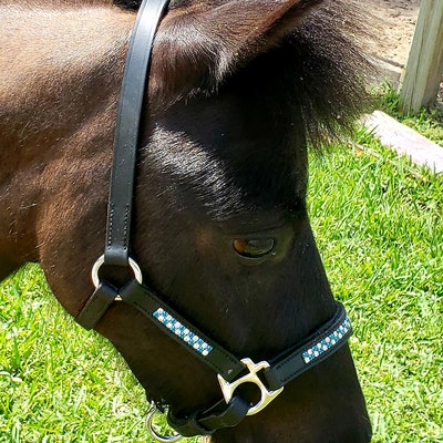 Miniature Horse Western Leather Halter..mini Show Halter - Etsy