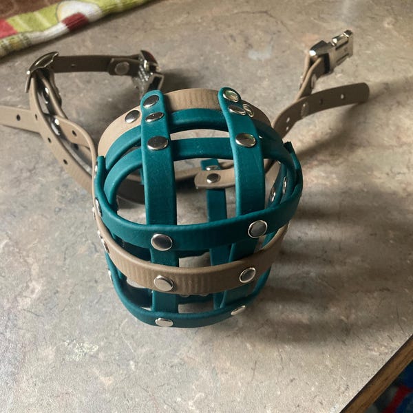 Hand-painted Biothane Dog Collar | Adjustable, Double-layered ...