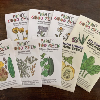 Red Callaloo Amaranth Seeds 600: Certified Organic, Non-gmo, Heirloom ...