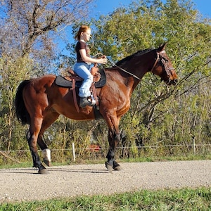 Custom Made Western Saddle Tapaderos Stirrups Leather Handmade Sewn ...