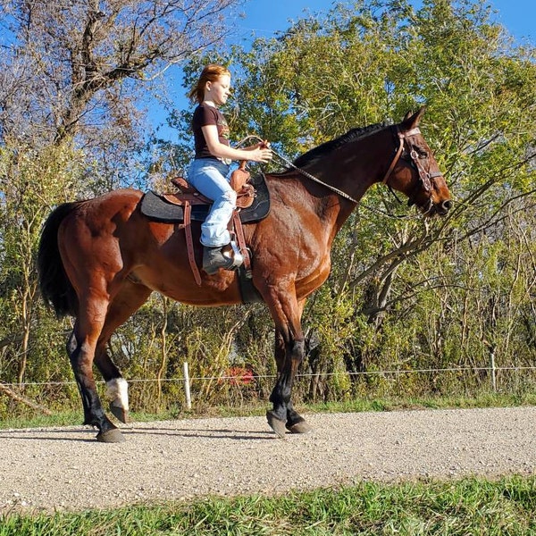 Custom Made Western Saddle Tapaderos Stirrups Leather Handmade Sewn ...