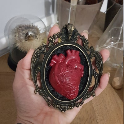 Anatomical Heart Occult Gothic Home Decor - Etsy