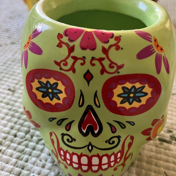 Monadenium Ritchei Rare Item Live Succulent - Etsy