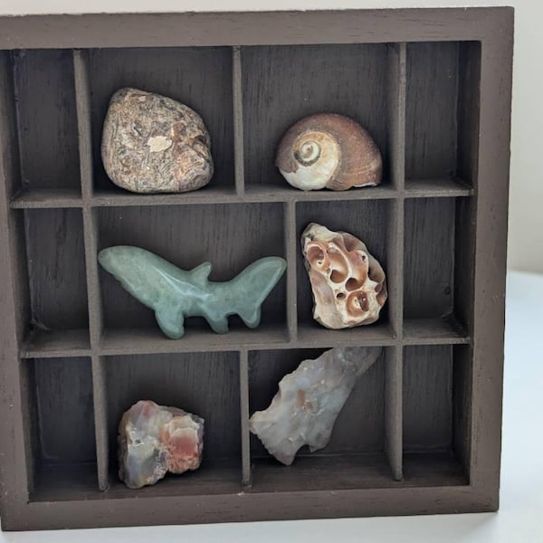 Wooden Curiosity Cabinet Printer Tray Letterbox Display, Rock Display ...