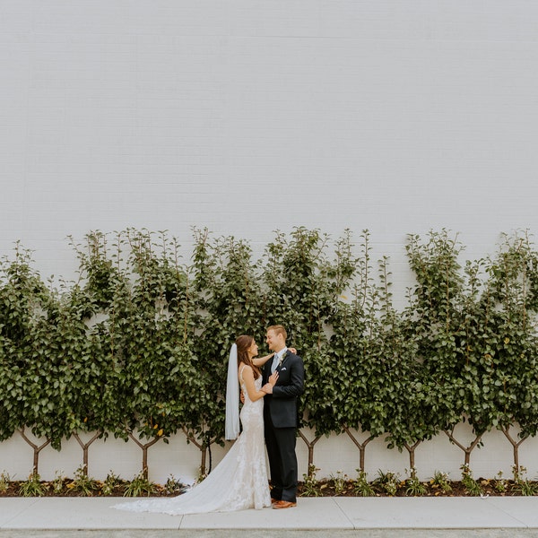 Soft Narrow or Wide Wedding Veil Cathedral, Elbow, Waist, Mid Hip ...