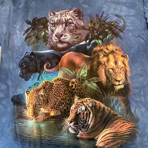 Alligator American Gator Bog Crocodile Reptile Swamp Dinosaur | Etsy