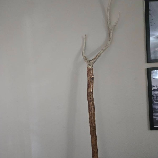 Maison Blanche Paint- Bayou Blue 32oz - Etsy