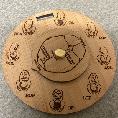 CEPHALIC Bamboo Midwifery Fetal Position Tool for Midwives, Student ...