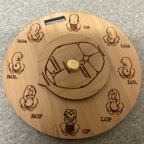 CEPHALIC Bamboo Midwifery Fetal Position Tool for Midwives, Student ...