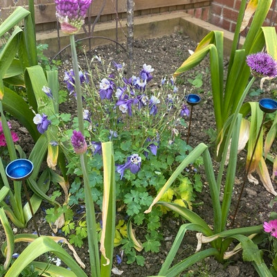 Bee Waterer, Bee Water Stations, Set of Three Cups Garden Sculpture - Etsy